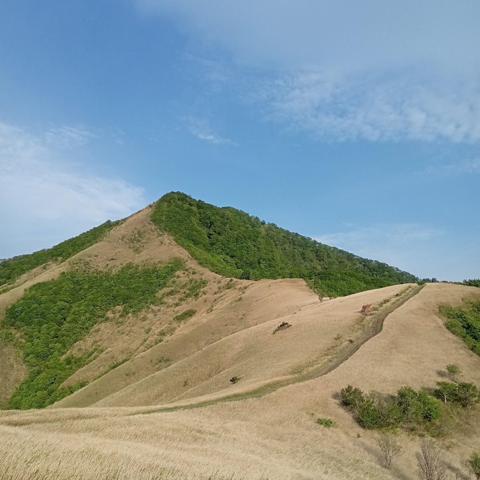【蒜山三座/周回】 / katu-MTさんの蒜山の活動データ | YAMAP / ヤマップ