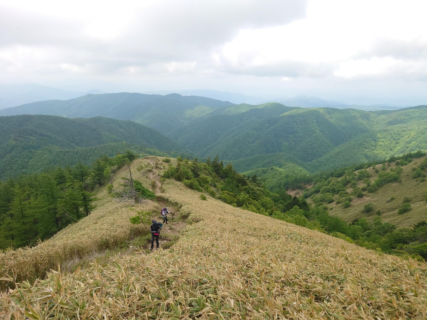 横岳・大川入山 / j.jack02さんの大川入山・横岳の活動データ | YAMAP / ヤマップ