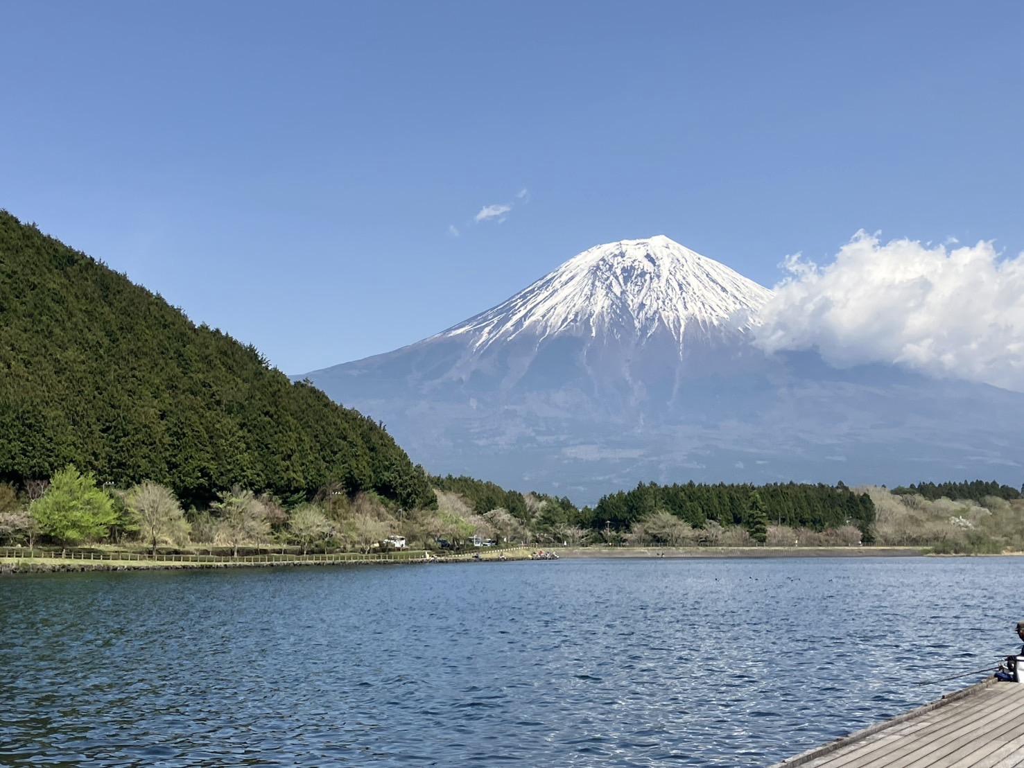 越前岳 / よしみさんのFUJISAN LONG TRAIL（愛鷹・富士南麓エリア SOUTH）の活動データ | YAMAP / ヤマップ