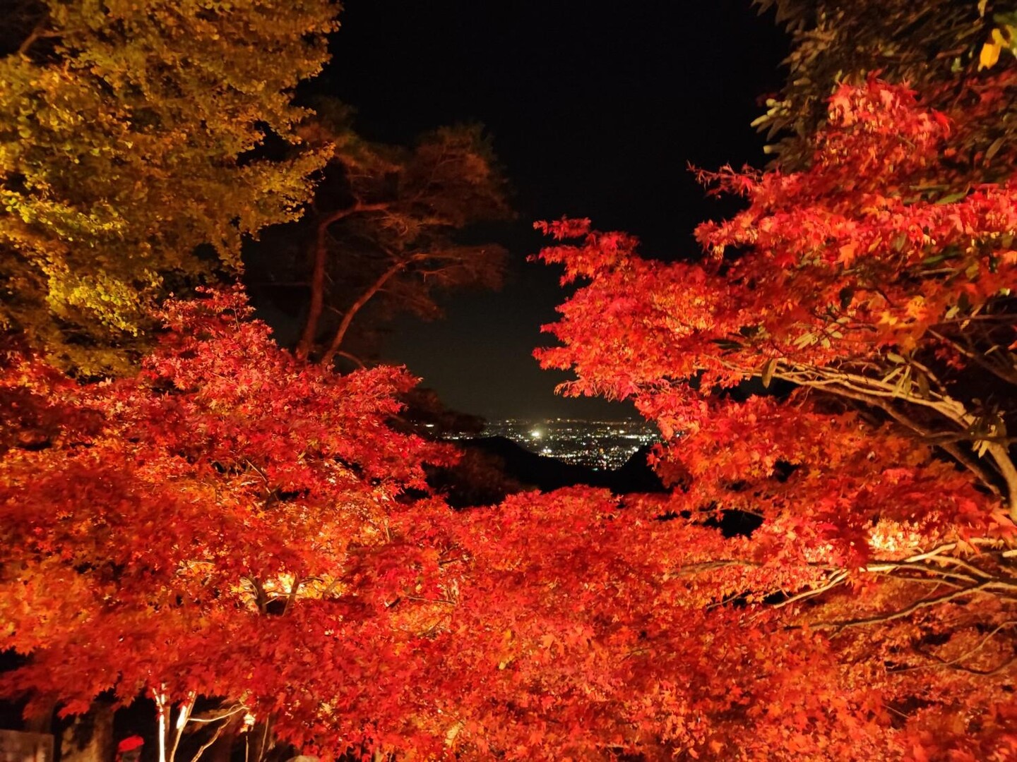 ナイト大山🌠 / odanさんの大山の活動データ | YAMAP / ヤマップ