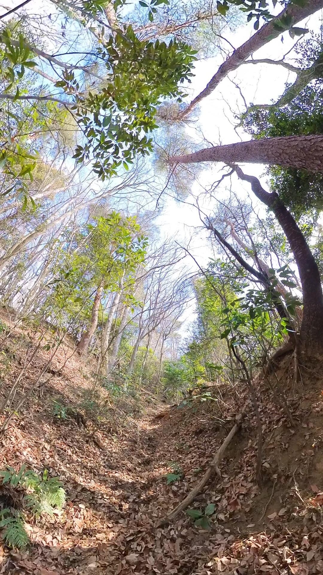 加波山・丸山 / sakさんの加波山・吾国山・難台山の活動データ | YAMAP / ヤマップ