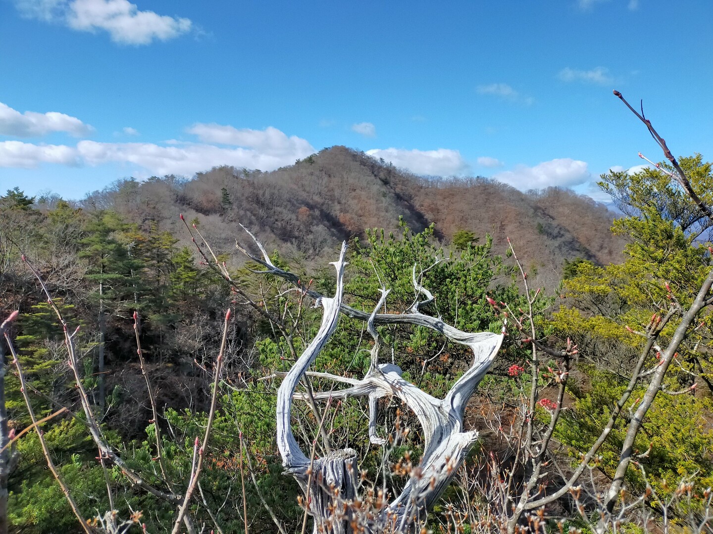 谷急山 / Berryさんの妙義山・天狗岳・相馬岳の活動データ | YAMAP / ヤマップ