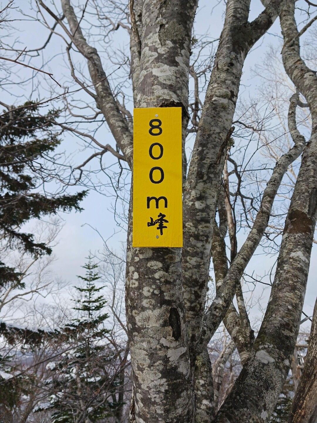 大曲山・800m峰 / シグナルさんの札幌岳・空沼岳の活動データ | YAMAP / ヤマップ