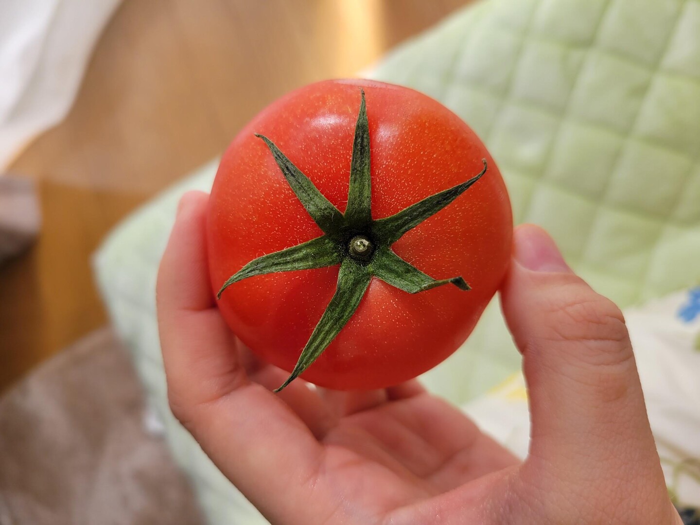 なななのページ | YAMAP / ヤマップ