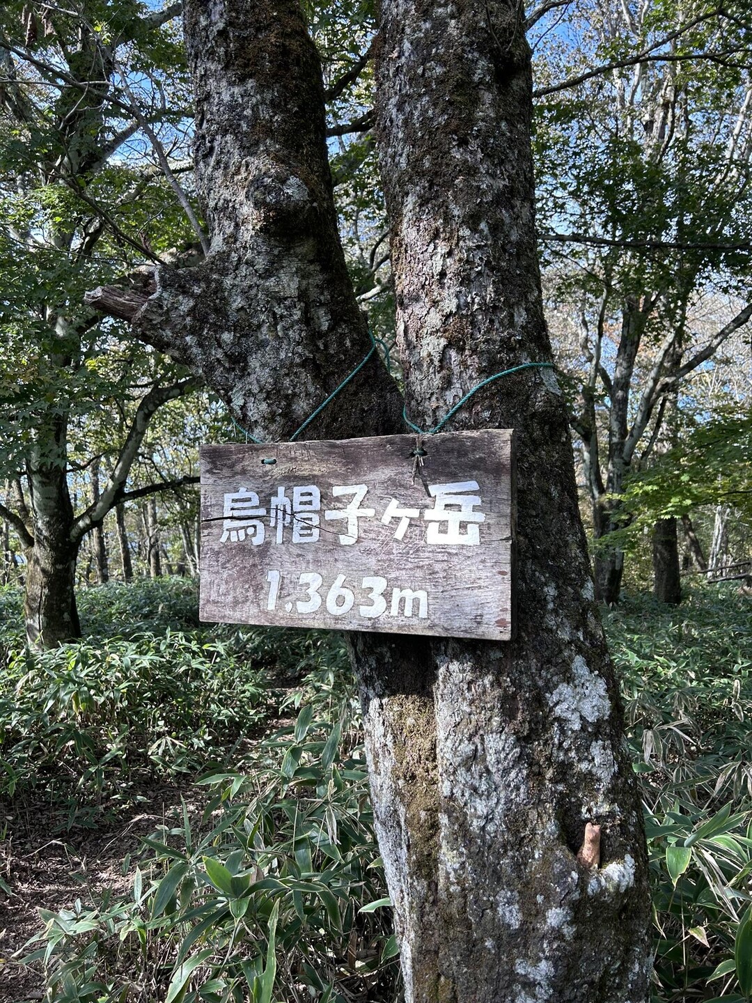 鬢櫛山・烏帽子ヶ岳 / MC HIROさんの榛名山・天狗山・天目山の活動データ | YAMAP / ヤマップ