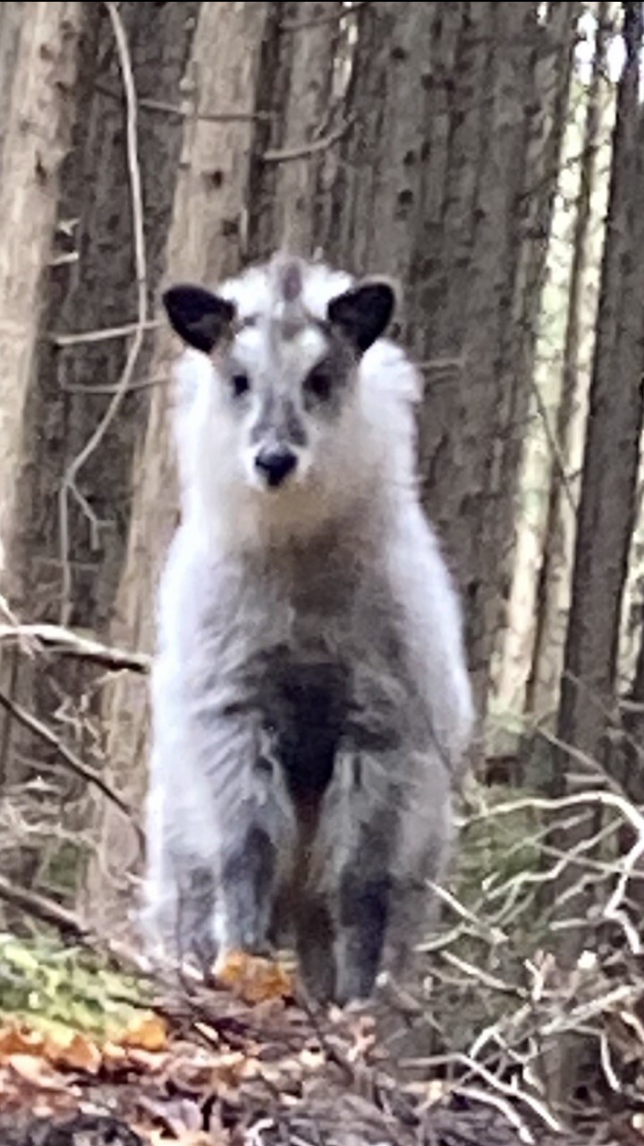 TQのページ | YAMAP / ヤマップ