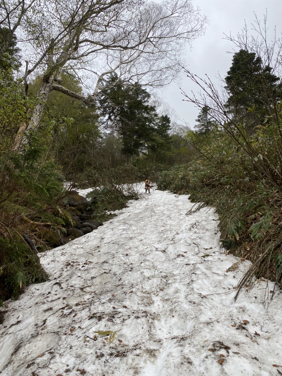 燧ヶ岳 / Bii&Guunさんの尾瀬・燧ヶ岳の活動データ | YAMAP / ヤマップ