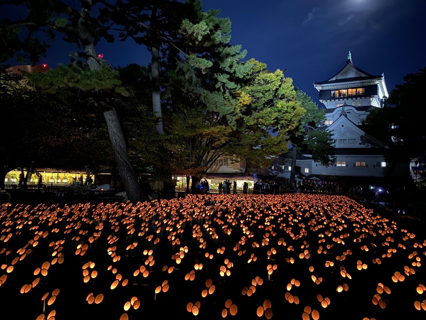 🕯2022.11.6🕯 小倉城 竹あ... / ･:*+. tomo ꒰๑ϋ๑꒱♬*｡ﾟさんのモーメント | YAMAP / ヤマップ