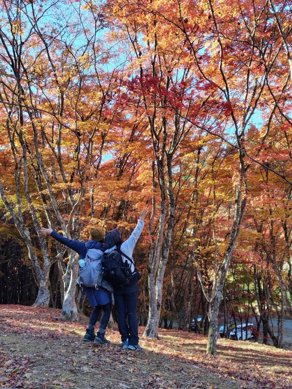 海と紅葉と山歩き🌊 / HARUさんの石投山・硯上山・羽黒山の活動データ | YAMAP / ヤマップ