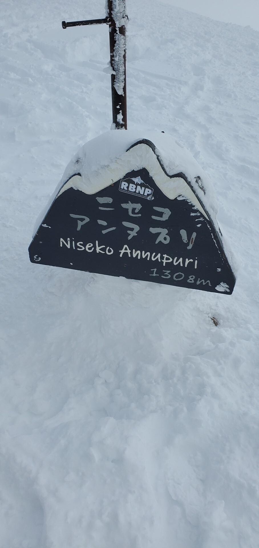 ニセコアンヌプリ（南峰）・ニセコアンヌプリ / チワコさんのニセコアンヌプリ・イワオヌプリ・チセヌプリの活動日記 | YAMAP / ヤマップ