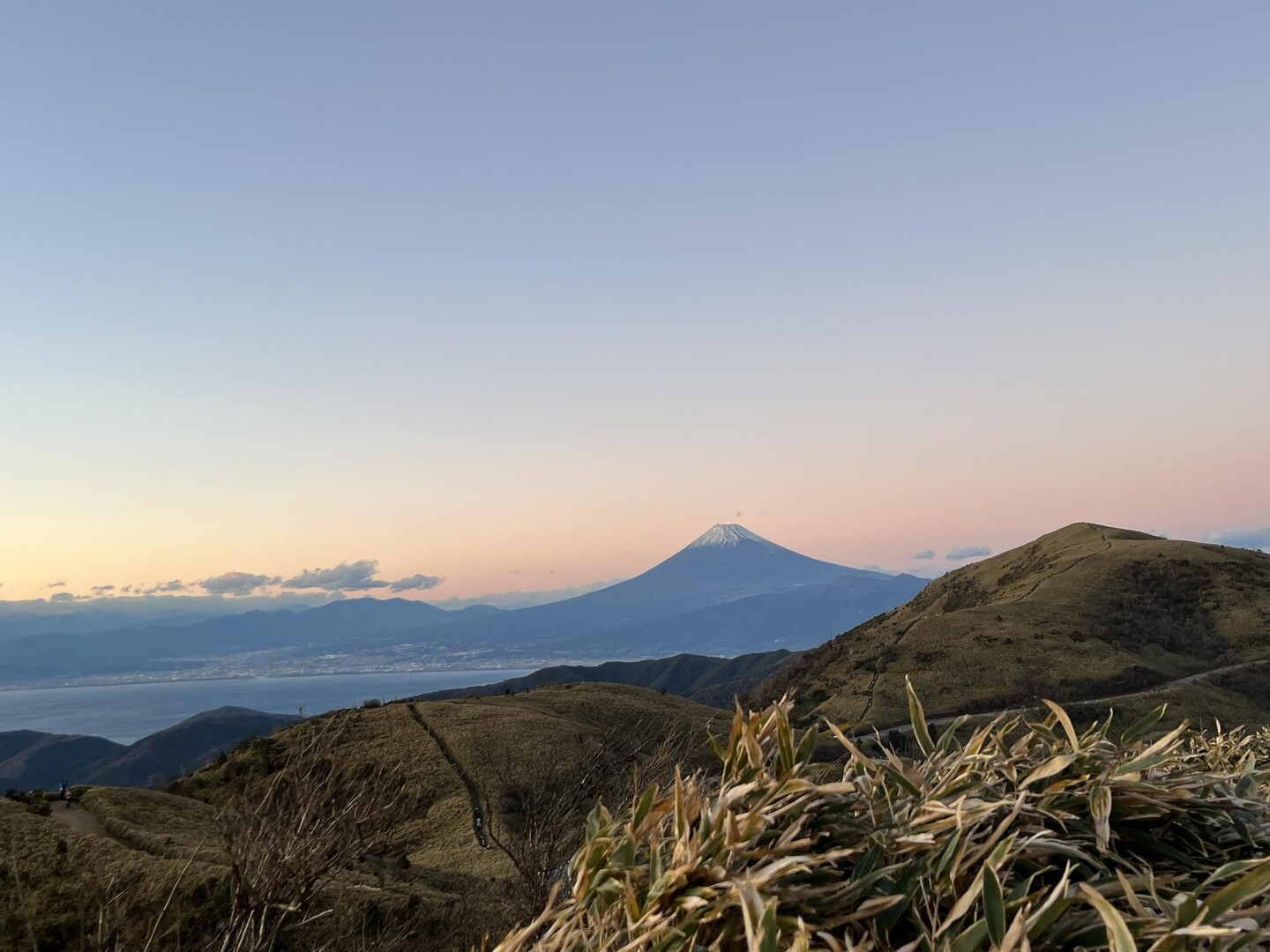 伊豆トレイルジャーニー70k / mikicさんの金冠山・達磨山・葛城山の活動データ | YAMAP / ヤマップ