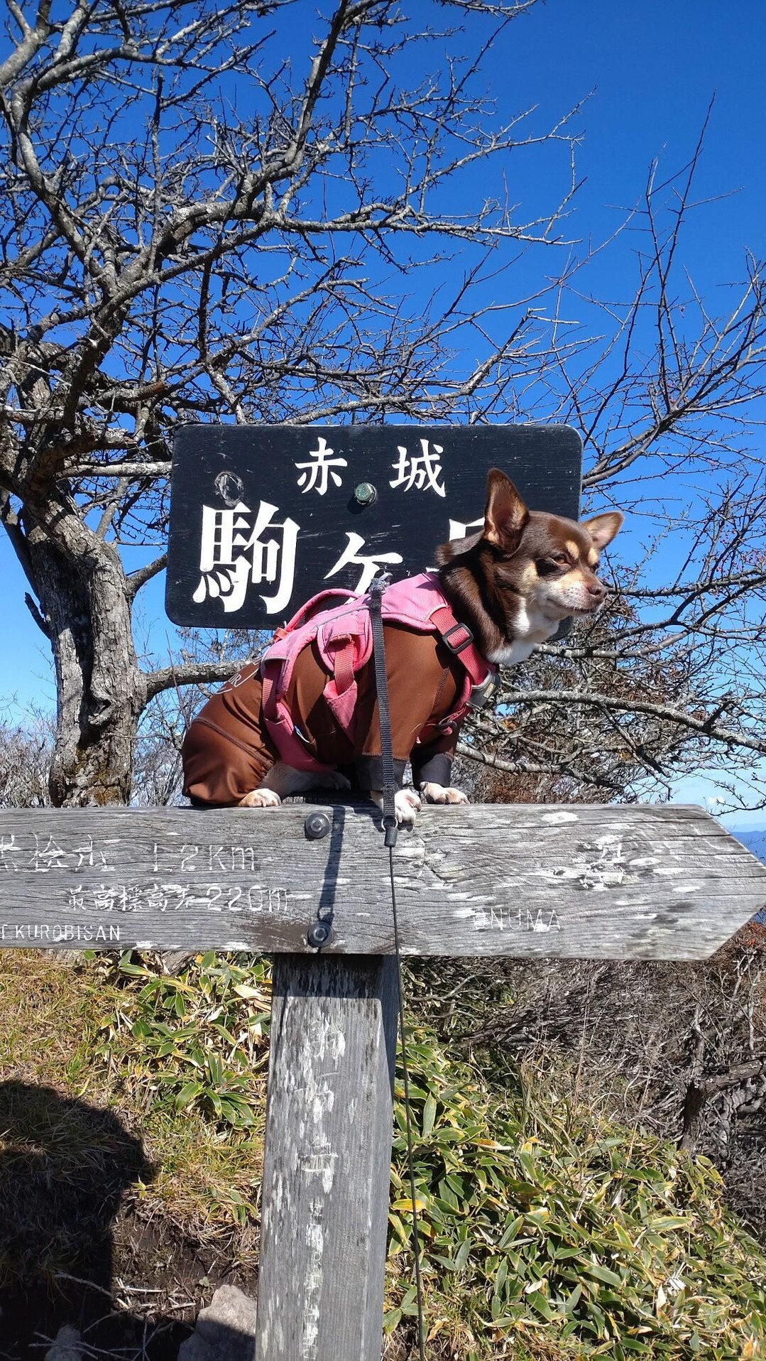 黒檜山・駒ヶ岳 / y.zatoさんの赤城山・黒檜山・荒山の活動データ | YAMAP / ヤマップ