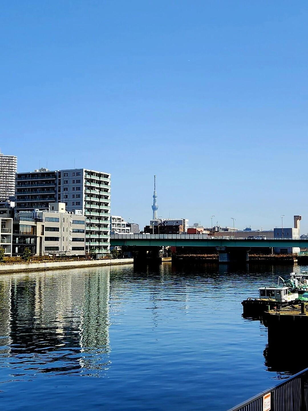 月島からのスカイツリー 卒業式シーズンで... / 気紛れDAKARAさんのモーメント | YAMAP / ヤマップ