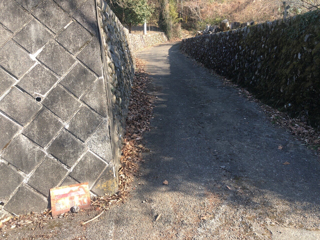 RYUさんの投稿したフィールドメモ | YAMAP / ヤマップ