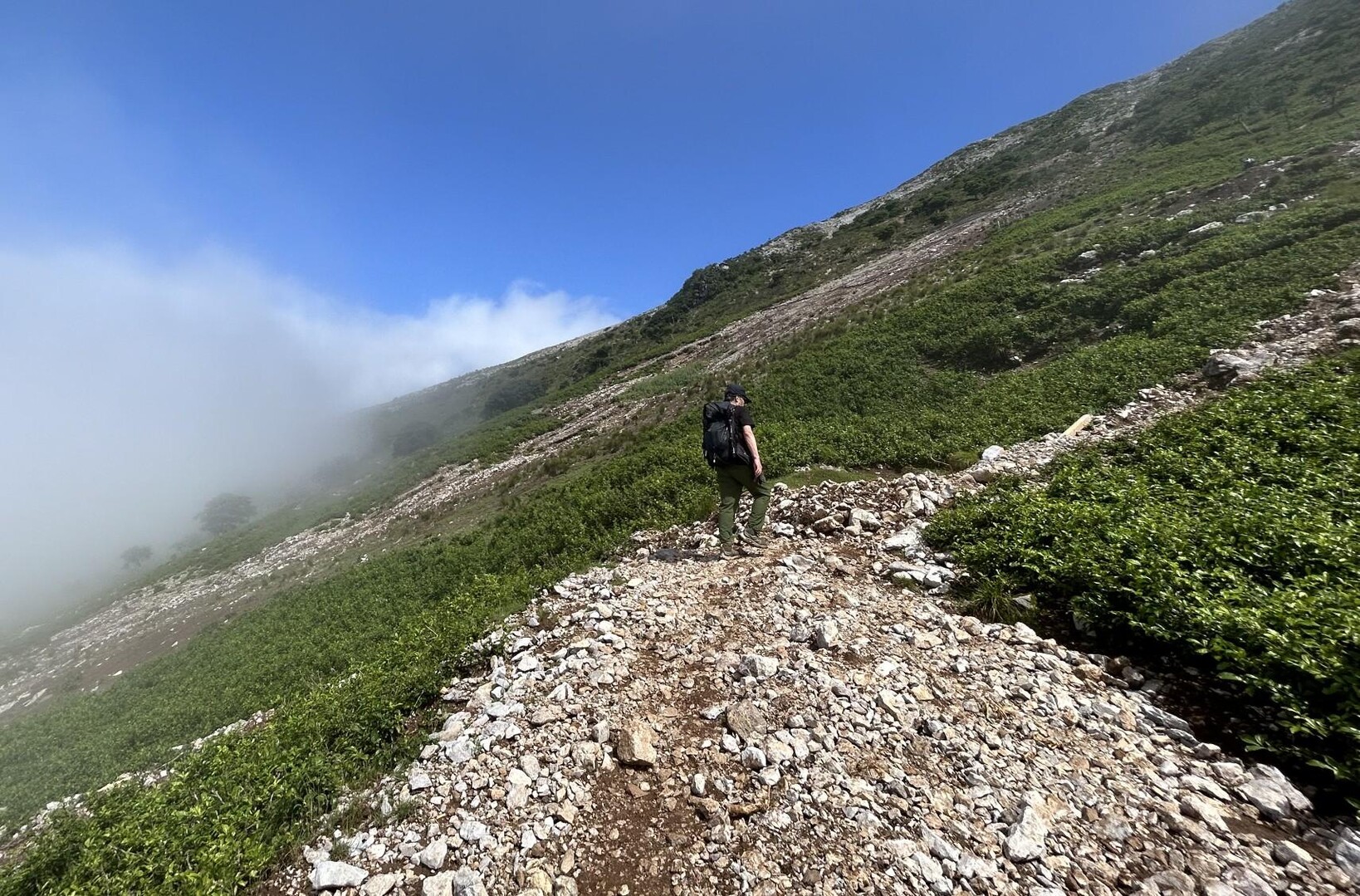 上平寺尾根からの伊吹山 / yanagingさんの伊吹山・伊吹高原・御座峰の活動データ | YAMAP / ヤマップ