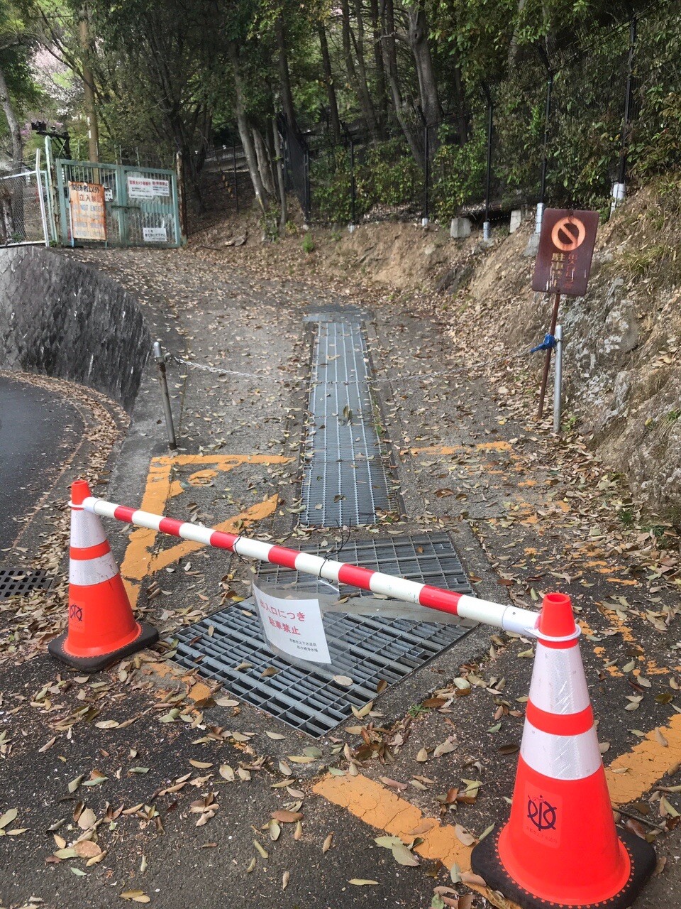 ぷーさん5646さんの投稿したフィールドメモ | YAMAP / ヤマップ