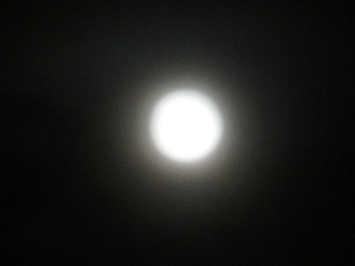 【就寝😪】Flower🌕Moon… ... / やすさんのモーメント | YAMAP / ヤマップ