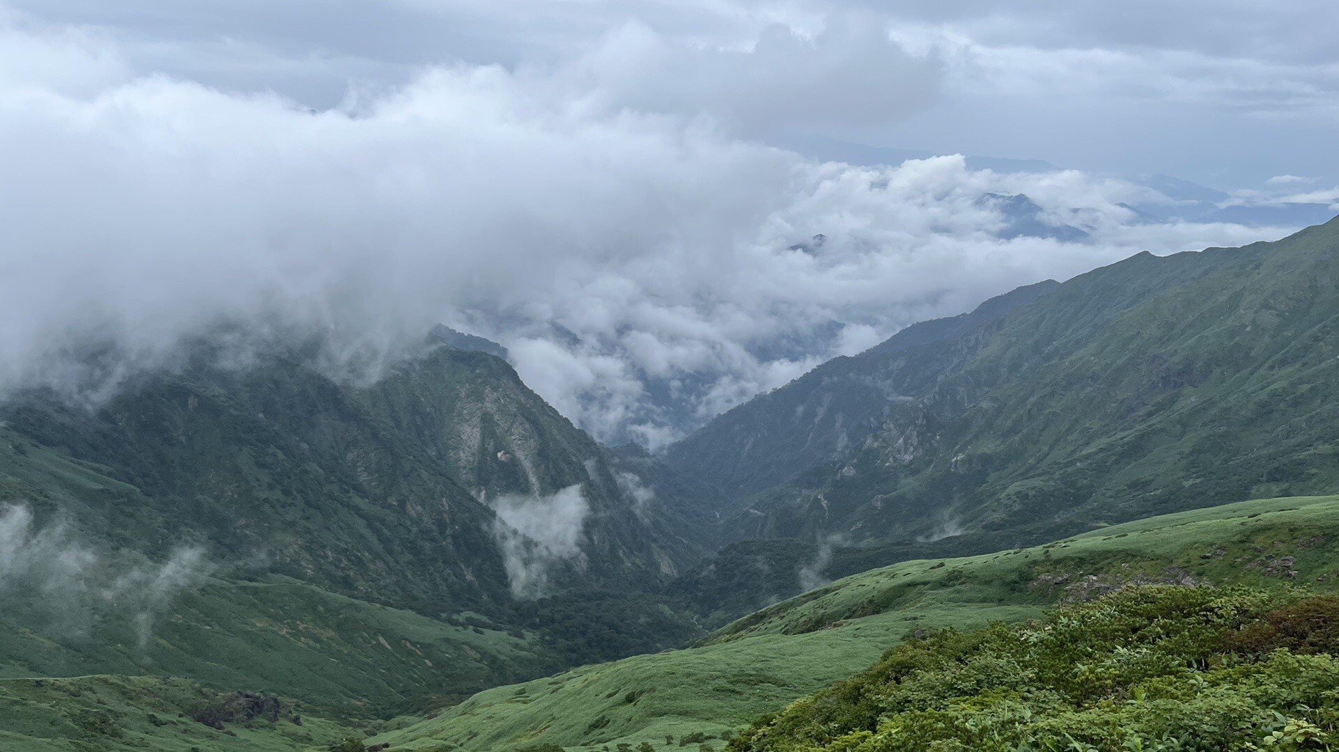 谷川岳 2022/08/20(土) 雨時... / rikoさんのモーメント | YAMAP / ヤマップ