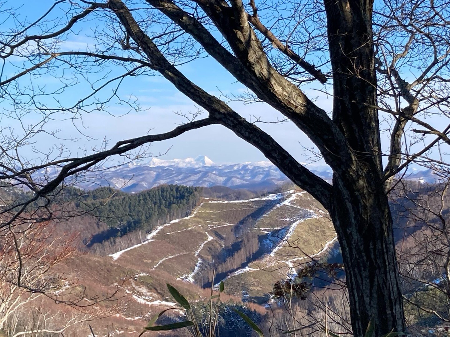 姨失山 / yuyu さんの姨失山の活動データ | YAMAP / ヤマップ