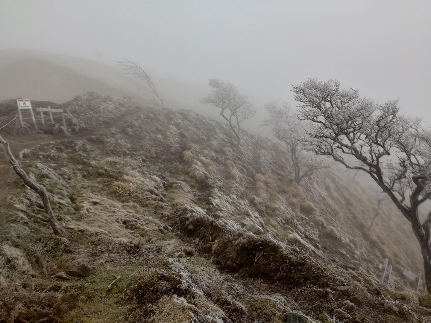 テント泊⛺️鈴鹿山脈 竜ヶ岳🚘️車で行く🏕️登山 / GNMTさんの竜ヶ岳の活動データ | YAMAP / ヤマップ