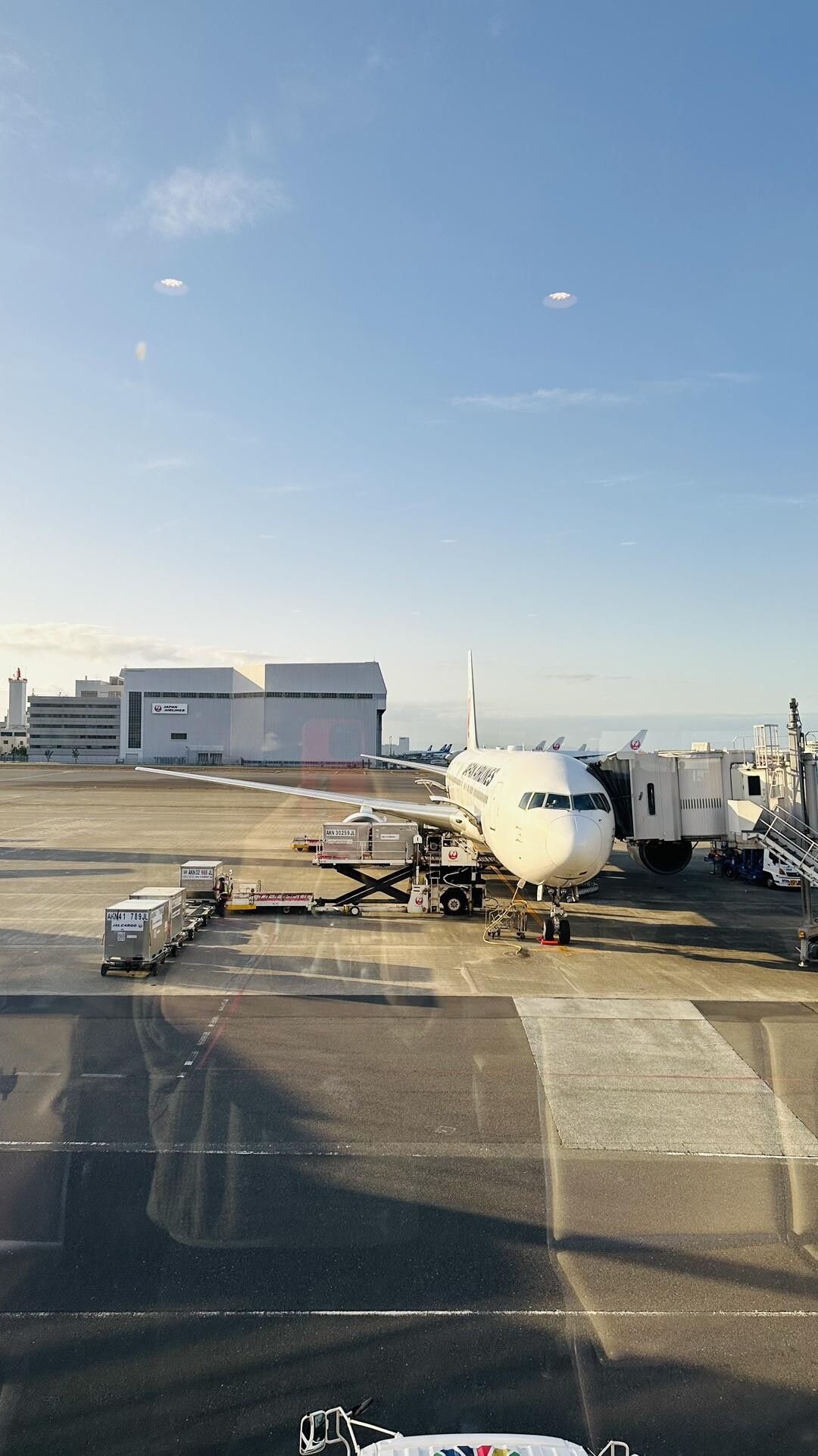 おはよございます！いよいよGW。今年は前... / Kikipさんのモーメント | YAMAP / ヤマップ