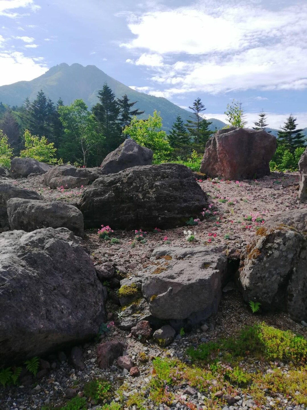 🌸Mt.Nikko-Shiranesan⚡ / 🌸Springthunders⚡さんの日光白根山・五色山・錫ヶ岳の活動データ | YAMAP / ヤマップ