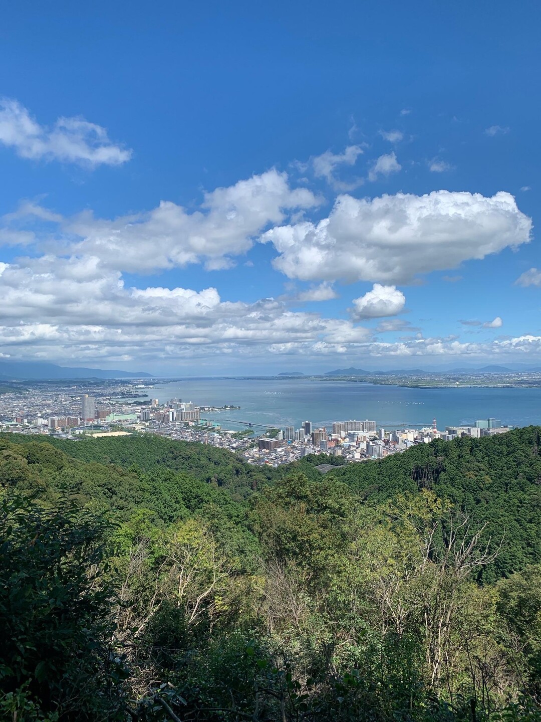 兜山・逢坂山 / pu_sanさんの音羽山・醍醐山の活動データ | YAMAP / ヤマップ