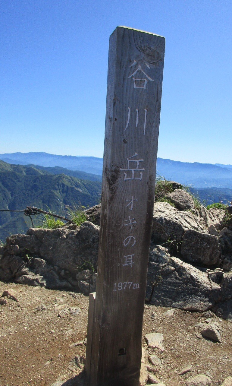 西黒尾根で谷川岳 / tosiさんの谷川岳天神平スキー場の活動日記 | YAMAP / ヤマップ