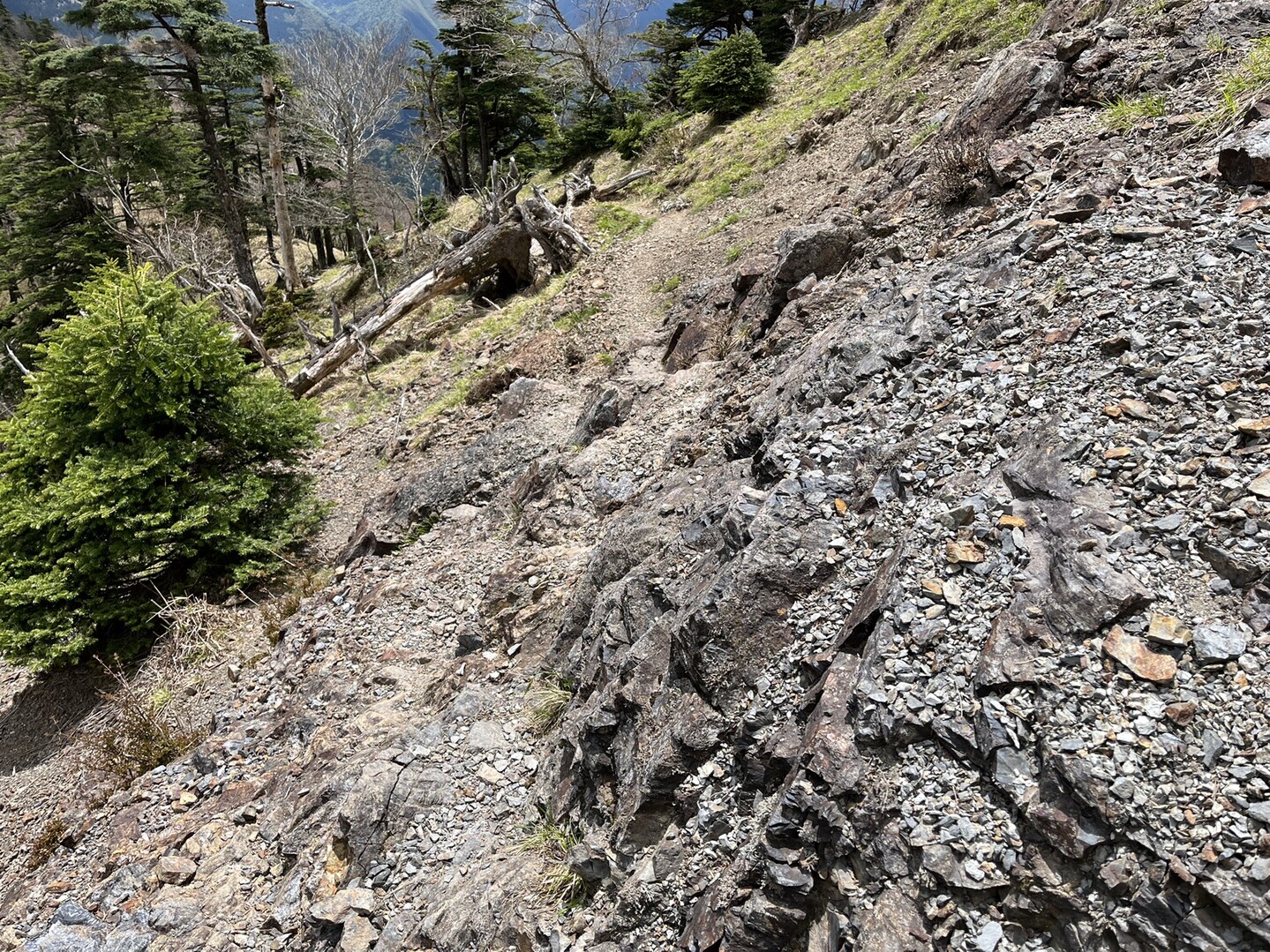 greenmoonきくちゃんさんの投稿したフィールドメモ | YAMAP / ヤマップ