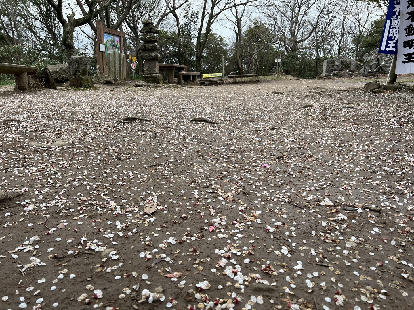 WOC登山部 HM飯野山（讃岐富士）自主トレ / iribito（いりびと）さんの飯野山（讃岐富士）の活動データ | YAMAP / ヤマップ