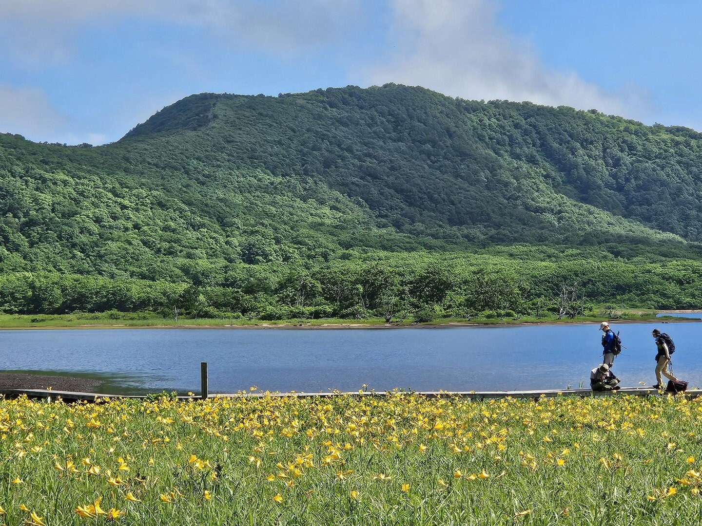 2024-06-29 猫魔ヶ岳・猫石・厩岳山 / uruさんの磐梯山・雄国山・赤埴山の活動データ | YAMAP / ヤマップ