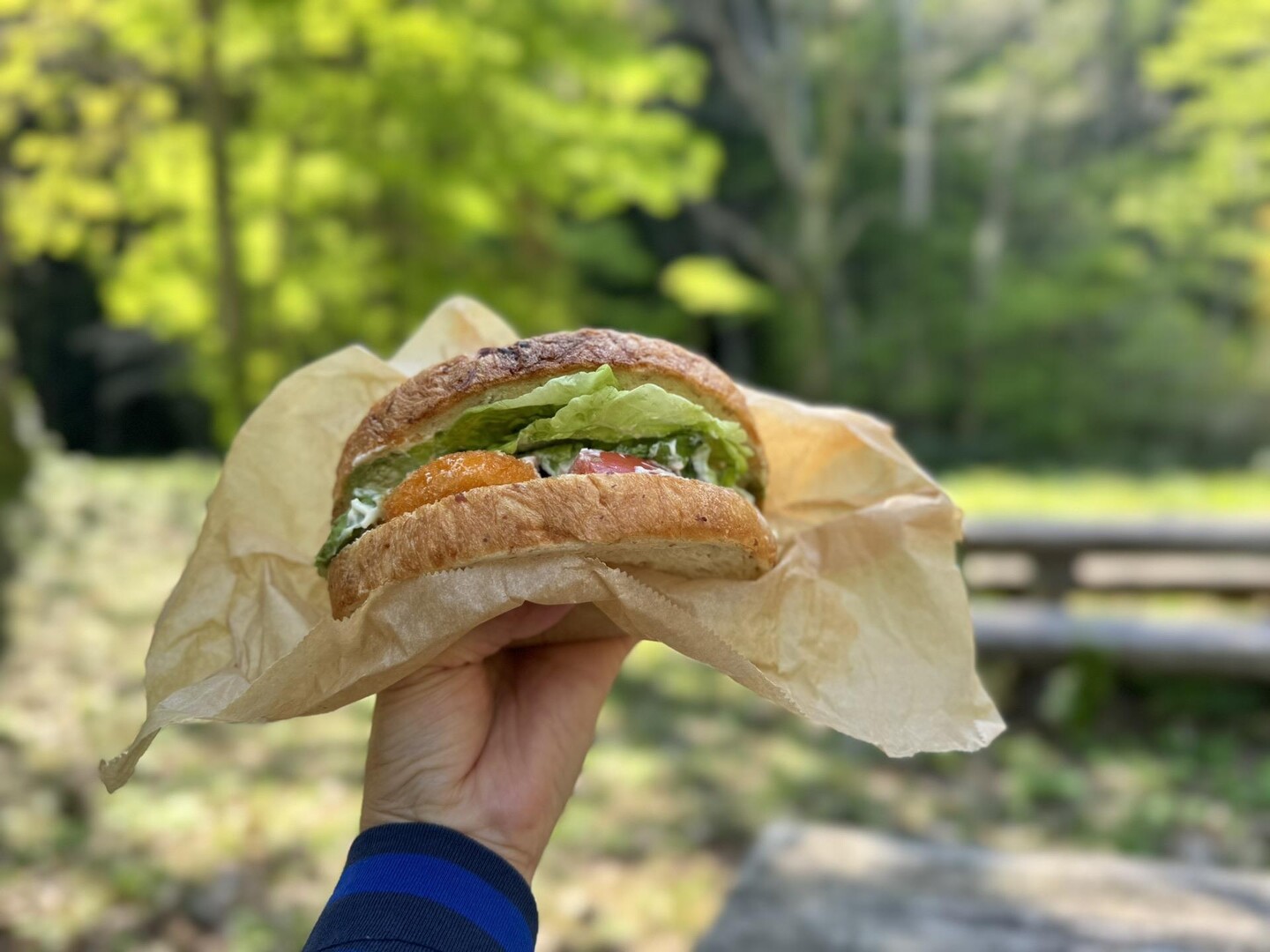 眺望山 たべるしかない🦛 ︎ / nepukoさんの梵珠山の活動日記 | YAMAP / ヤマップ
