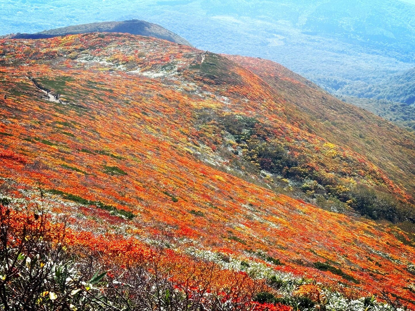紅葉🍁ボルケーノツアー3日目・栗駒山 / GanjaEX🐕さんの栗駒山（須川岳）・秣岳・虚空蔵山の活動データ | YAMAP / ヤマップ