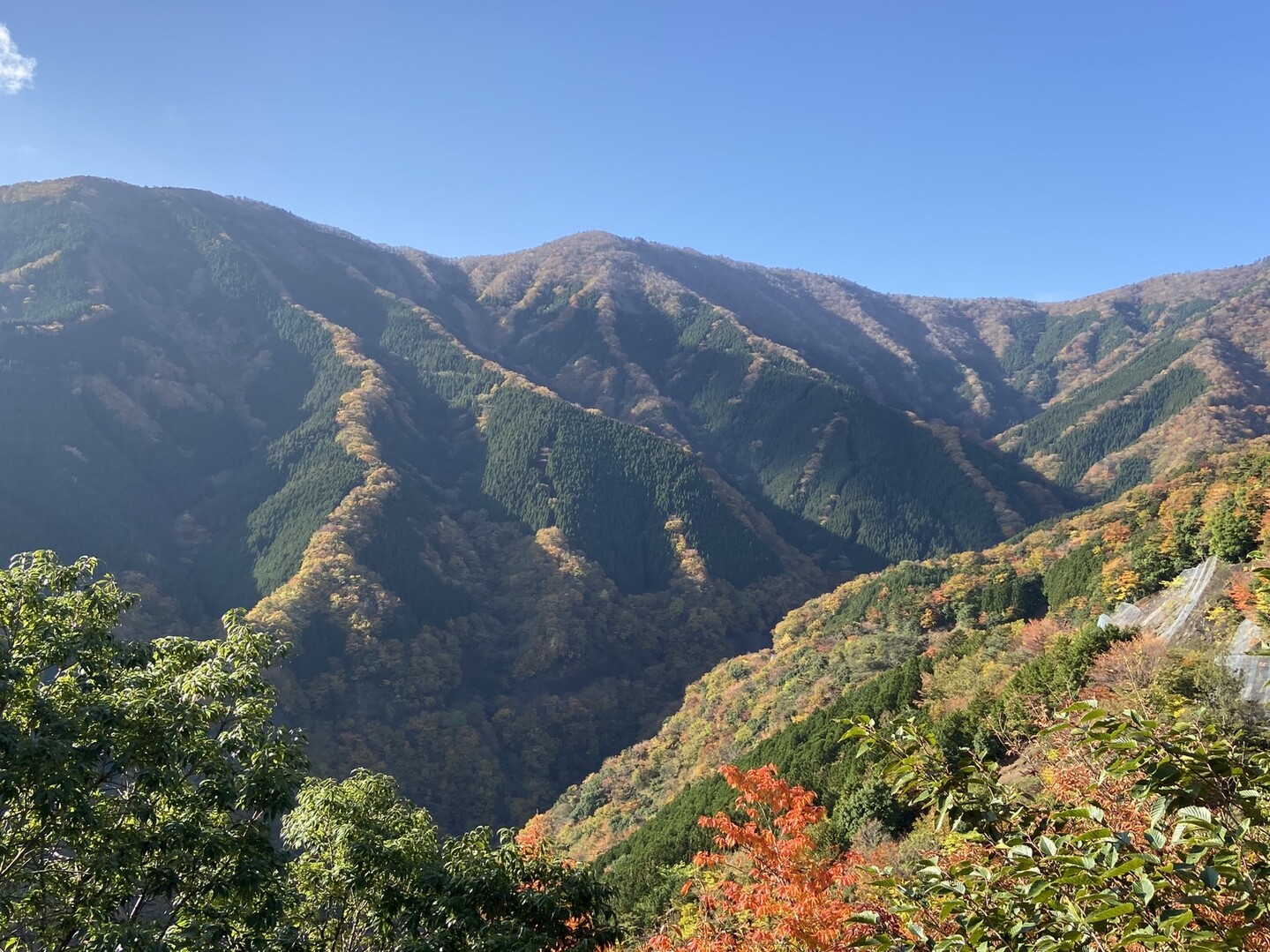 弁天ノ森・弥山・八経ヶ岳(八剣山・仏経ヶ岳) / yamaha さんの八経ヶ岳の活動データ | YAMAP / ヤマップ