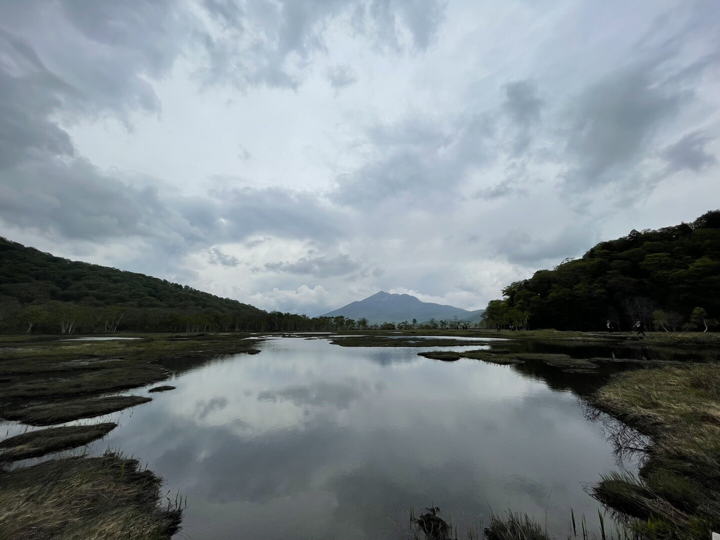 尾瀬 雨もまた良し / yukodamaさんの尾瀬・燧ヶ岳の活動データ | YAMAP / ヤマップ