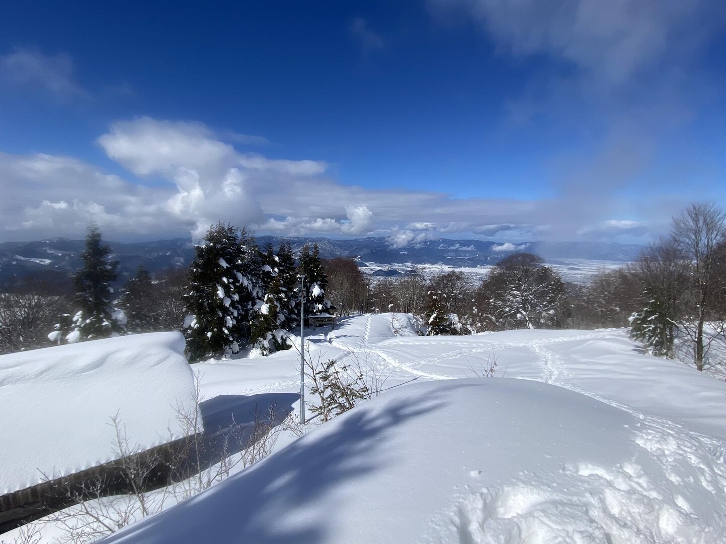 日野山⛰中平吹〜荒谷周回 / mk_013さんの日野山の活動データ | YAMAP / ヤマップ