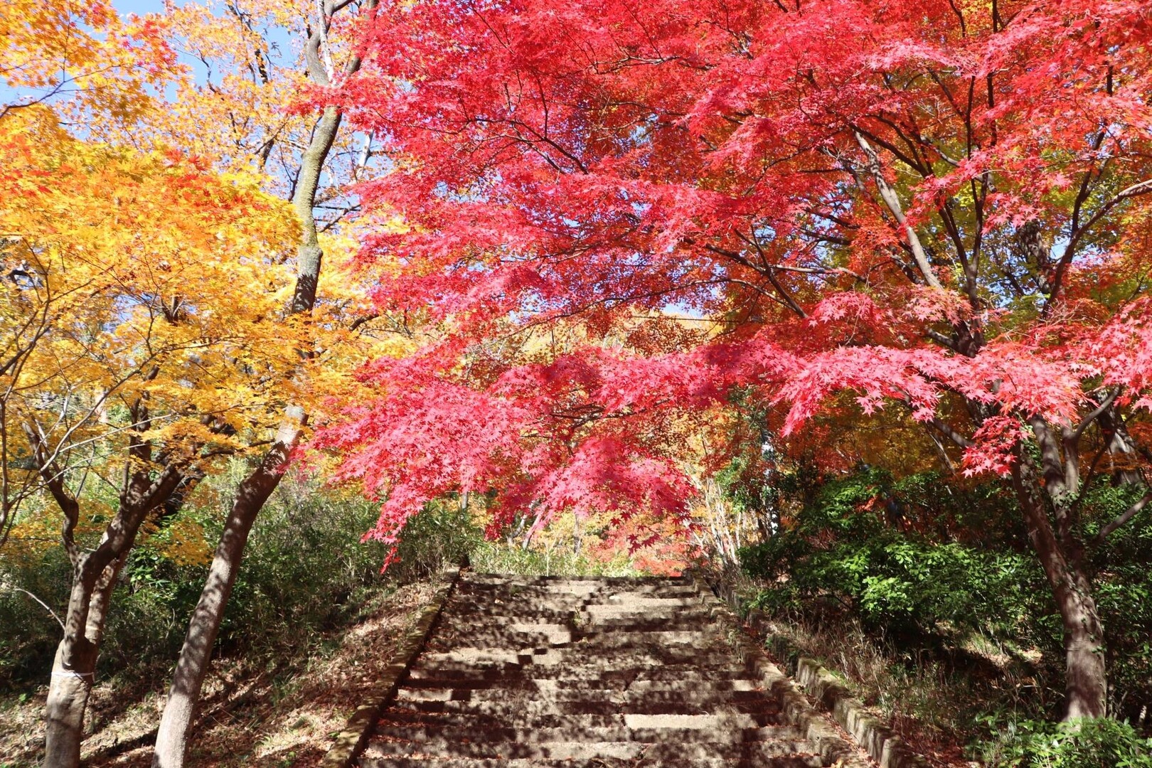 信夫山(羽山)・信夫山(羽黒山)・信夫山（熊野山） / hitomiさんの十万劫山の活動データ | YAMAP / ヤマップ