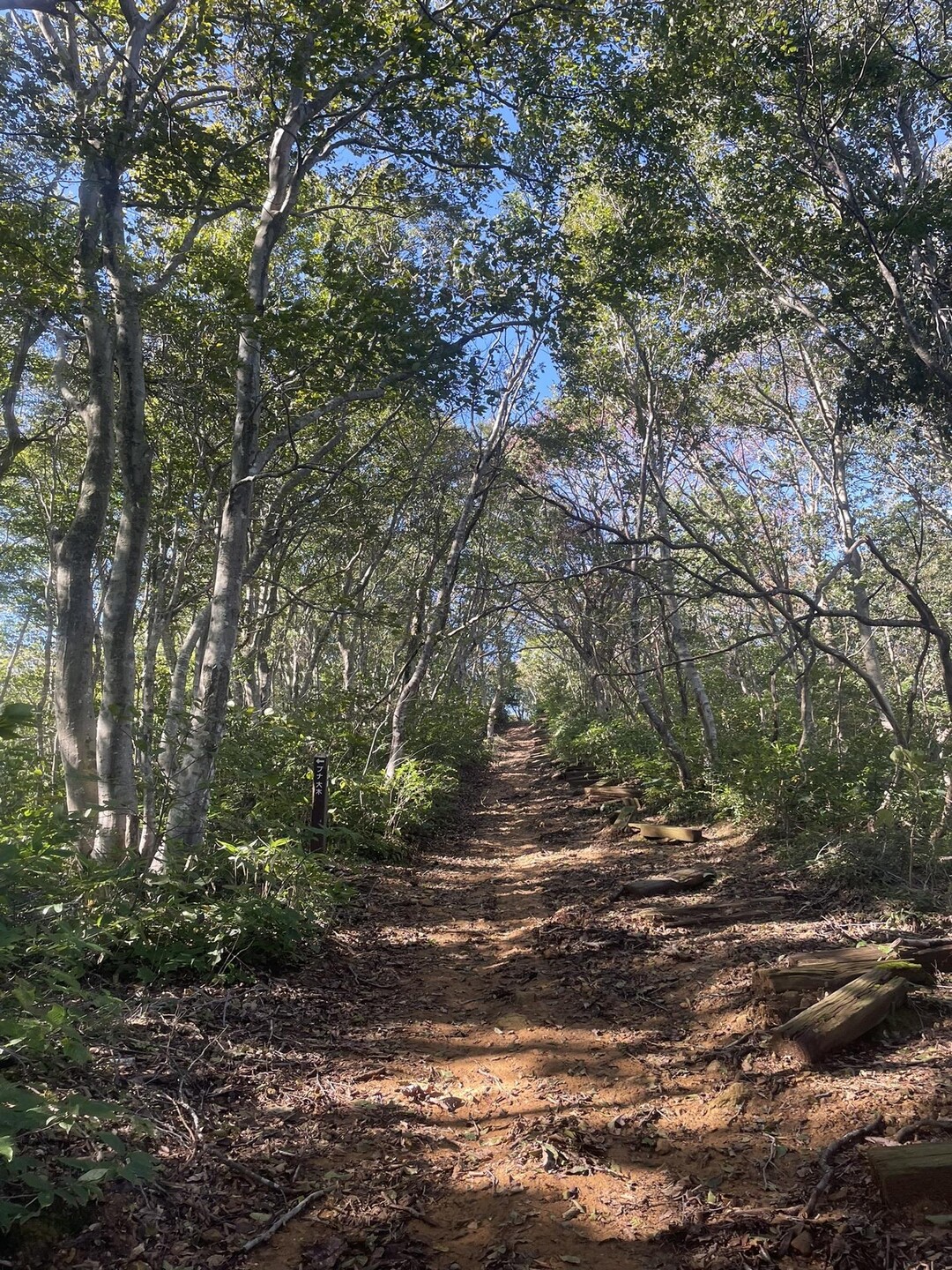弥彦山散歩 / tkhsh.ktさんの弥彦山・多宝山・雨乞山の活動データ | YAMAP / ヤマップ