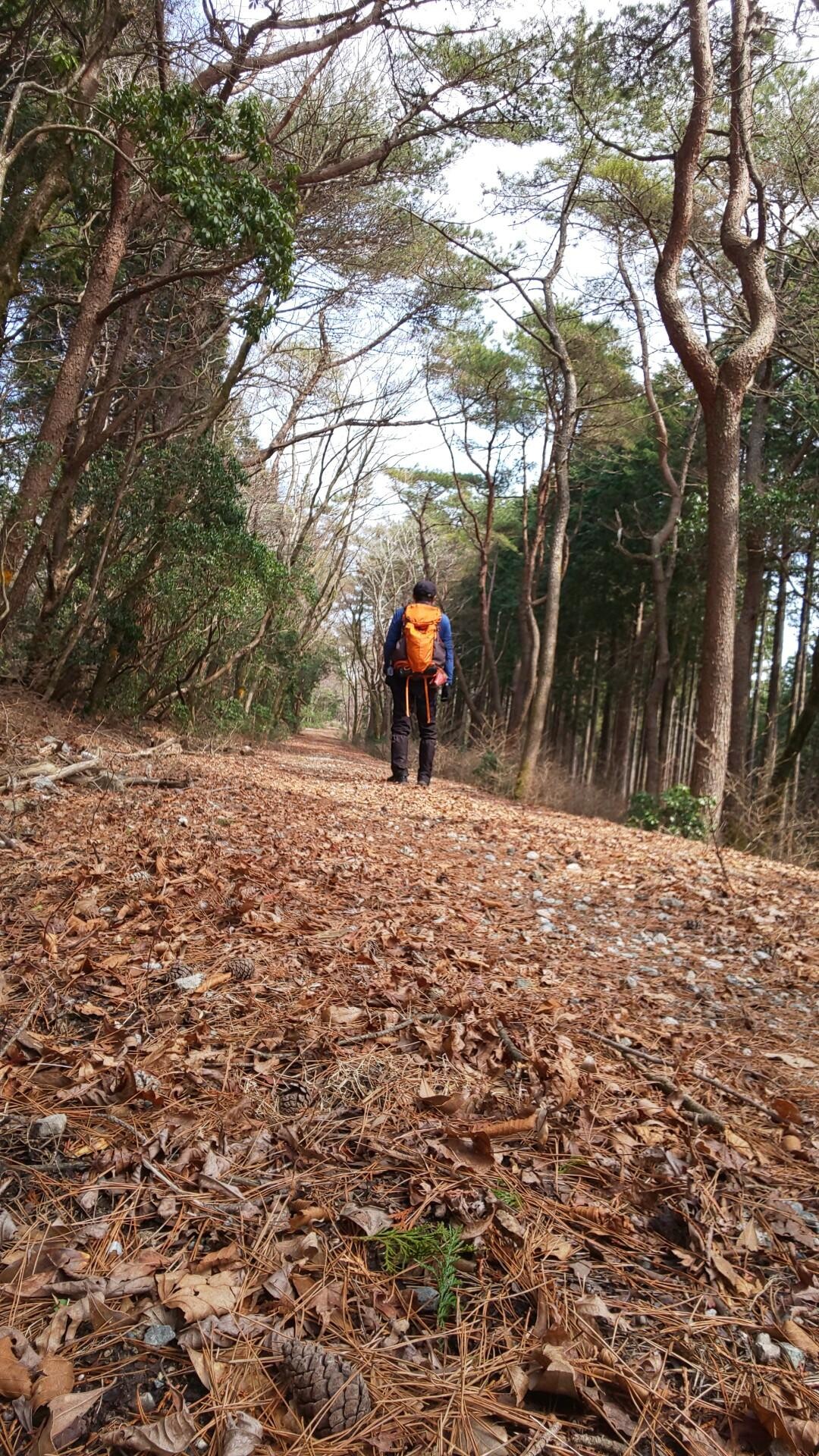 地蔵峠～冠ヶ岳 快適 周回 👌 / kenri33さんの俵山・冠ヶ岳・清栄山の活動データ | YAMAP / ヤマップ