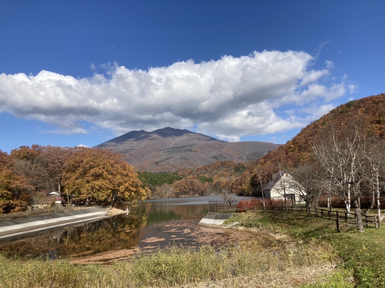 やまびこ吊橋と長老湖の紅葉散策 / OBsunさんのウォーキングの活動データ | YAMAP / ヤマップ