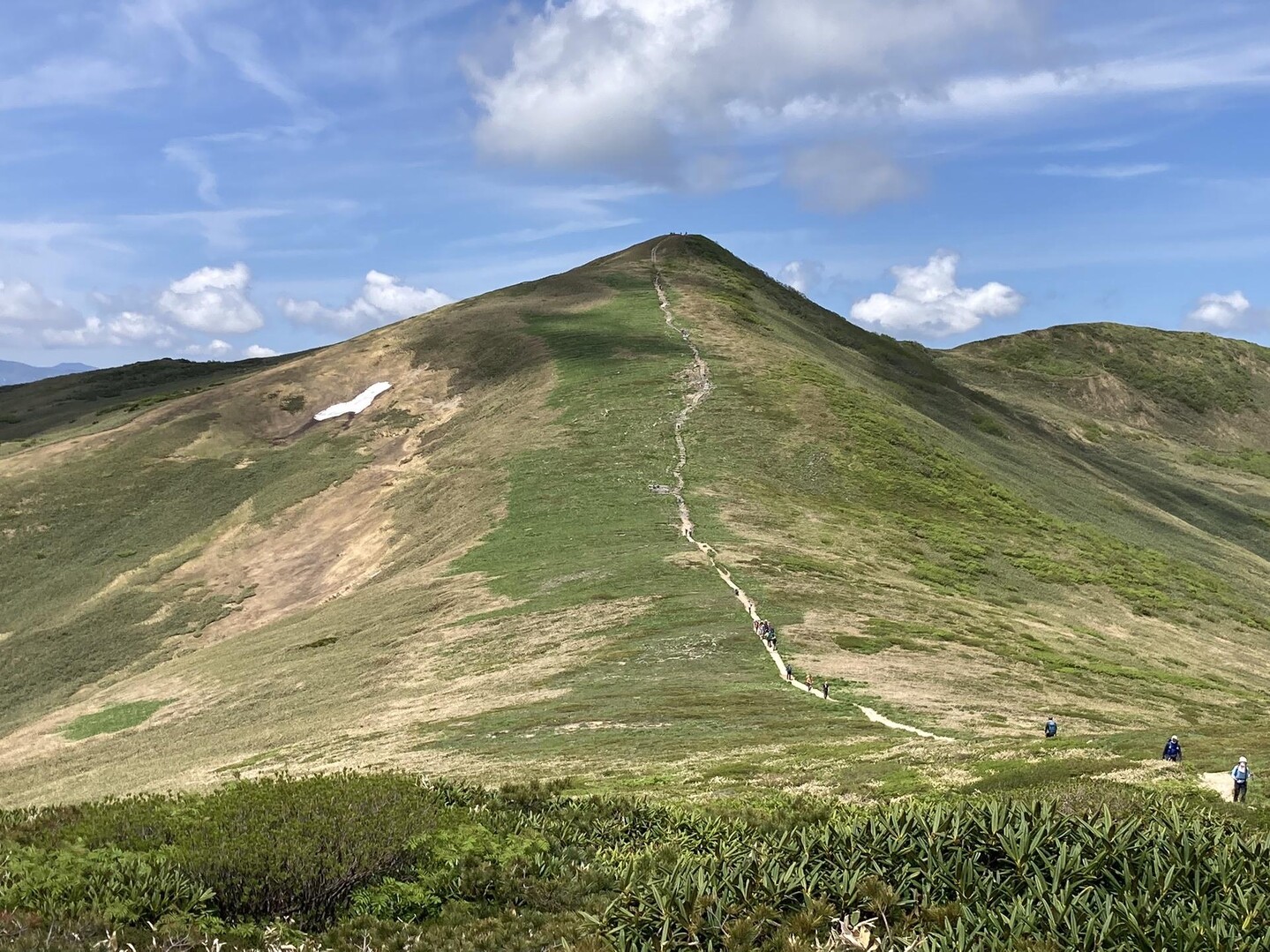 お花畑の平標山と谷川連峰最高峰・仙ノ倉山 / plasmonさんの仙ノ倉山・平標山・大源太山の活動日記 | YAMAP / ヤマップ
