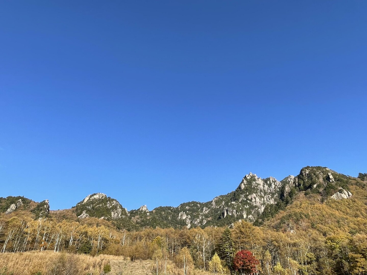 丸山・瑞牆山 / pepperさんの瑞牆山・金峰山の活動日記 | YAMAP / ヤマップ