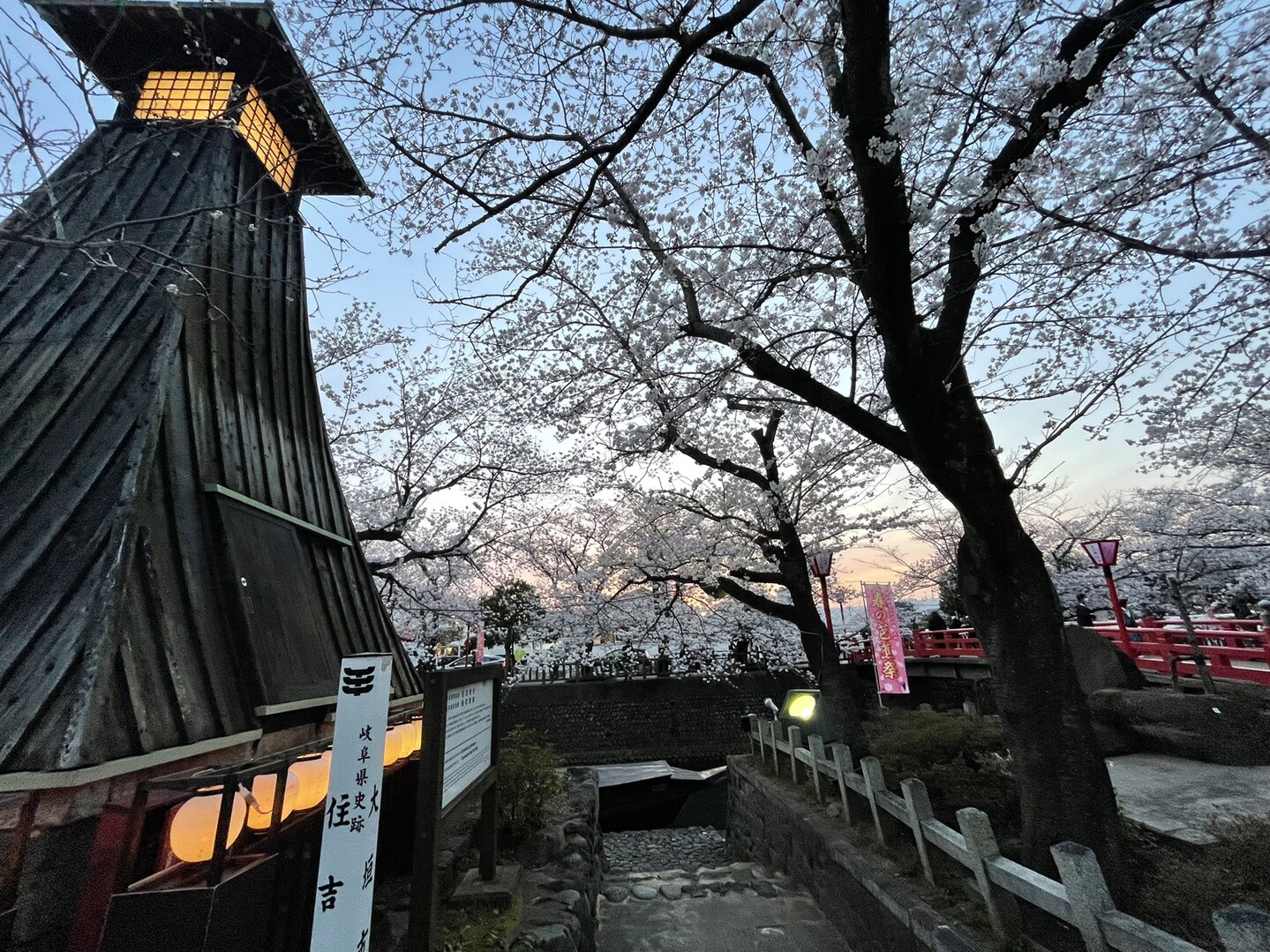 夕暮桜ウォーキング🌸水都おおがき / ha-saさんの大垣市の活動データ | YAMAP / ヤマップ