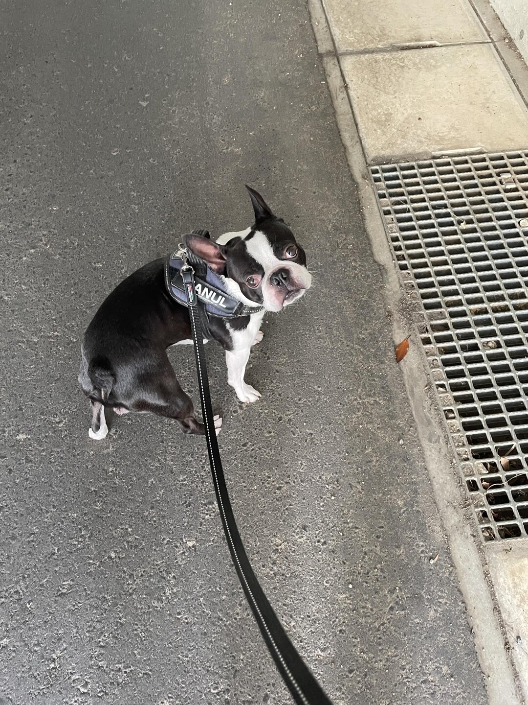 ランニング-2024-10-27 / ISOさんのランニングの活動日記 | YAMAP / ヤマップ