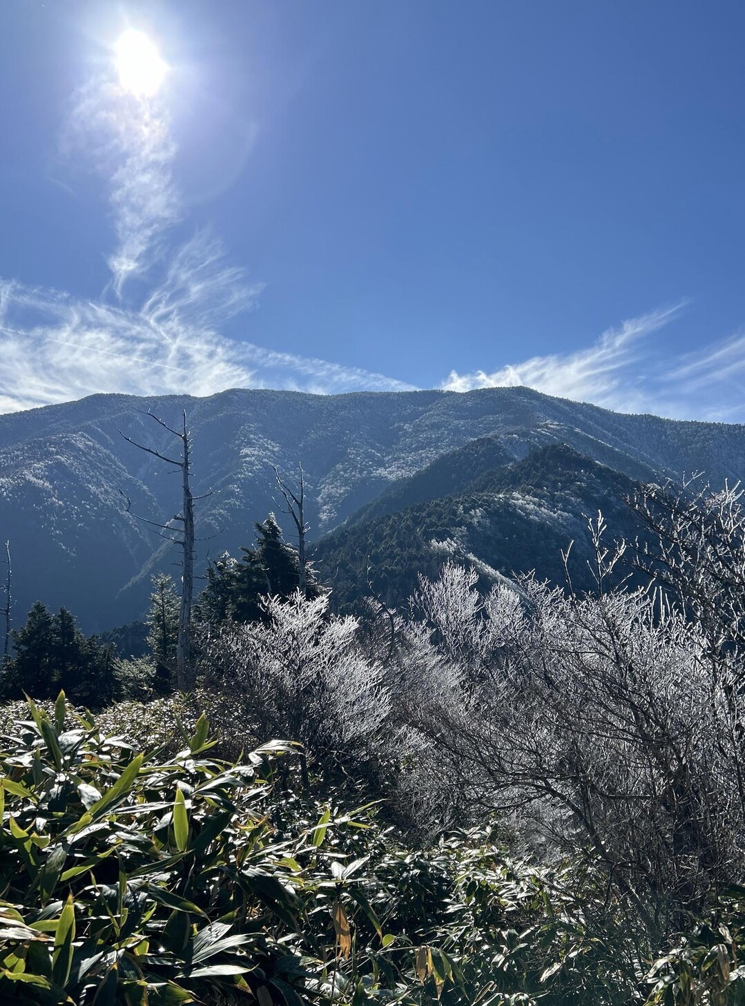 #49 恵那山・千両山・大判山 / Gucci Gucciさんの恵那山・大判山・神坂山の活動データ | YAMAP / ヤマップ