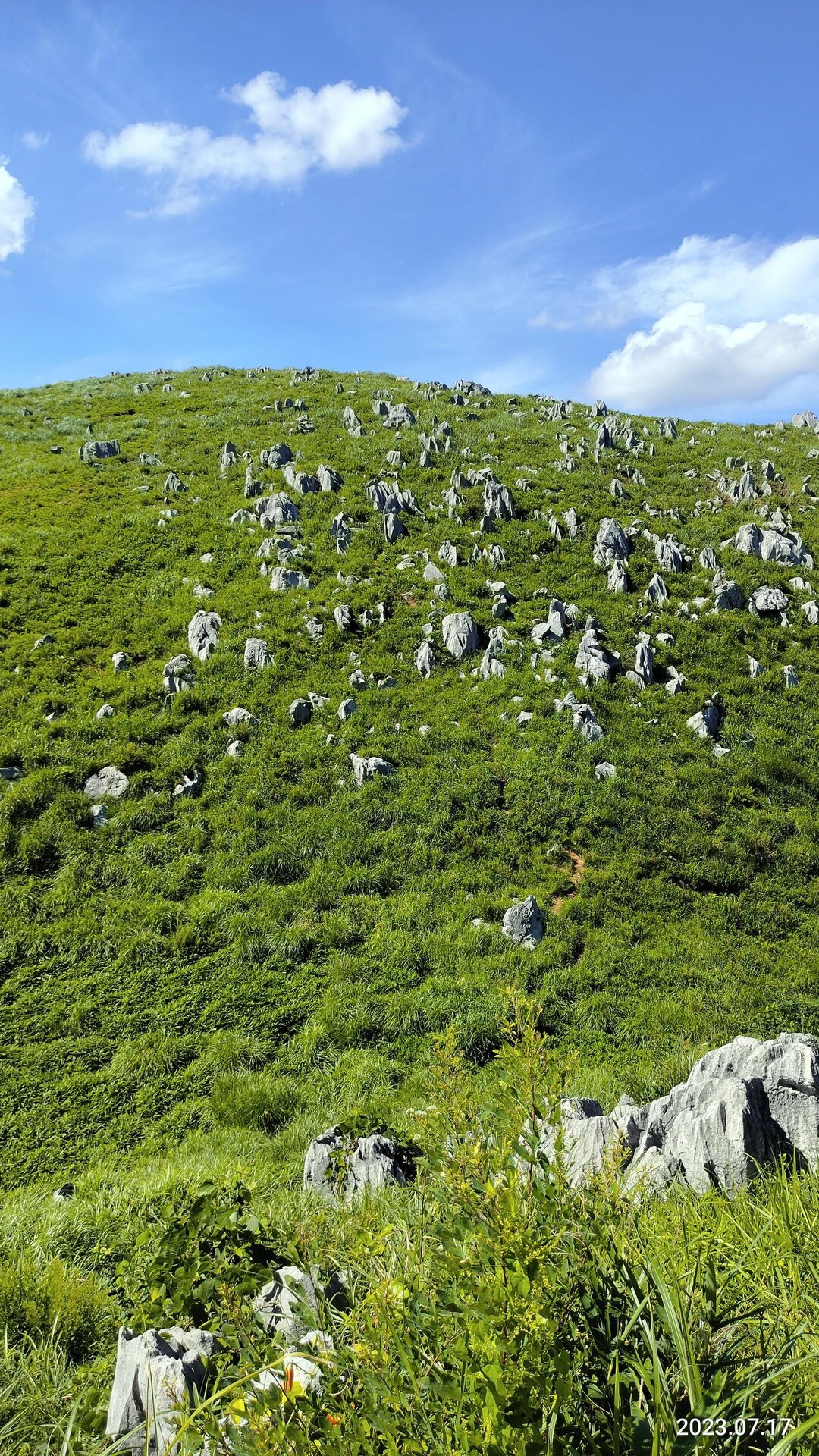 秋吉台プチトレラン 北山・冠山・地獄台 / seiさんの秋吉台の活動データ | YAMAP / ヤマップ