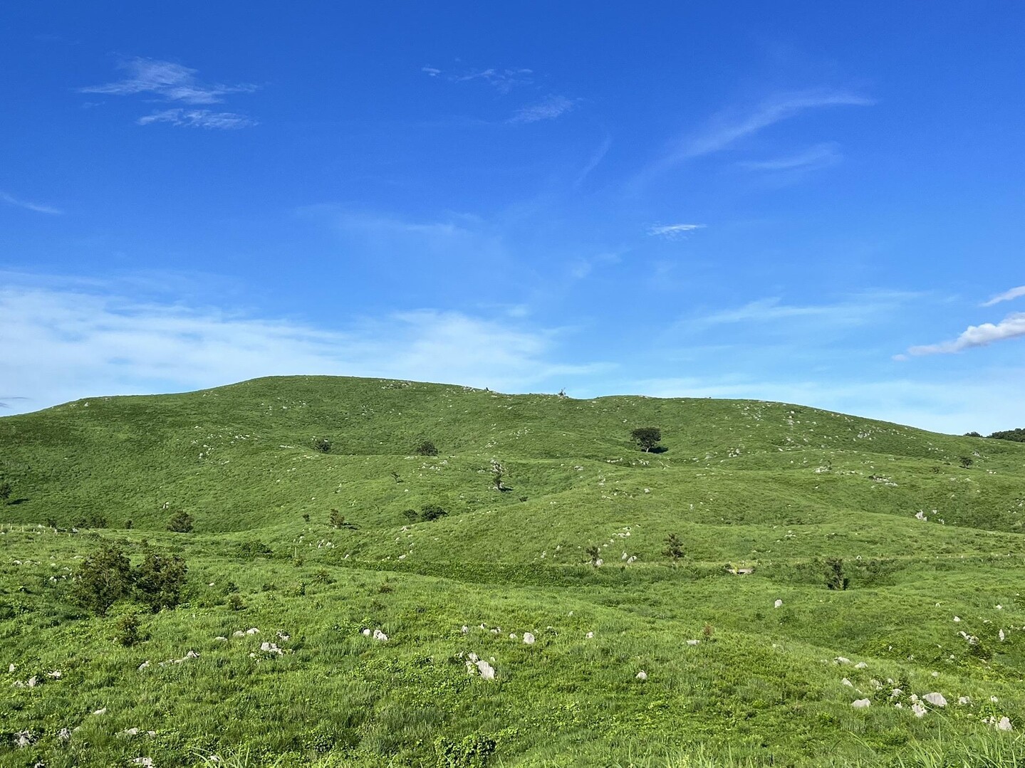 2024.7.20〜21 秋吉台・秋芳洞... / HTさんのモーメント | YAMAP / ヤマップ