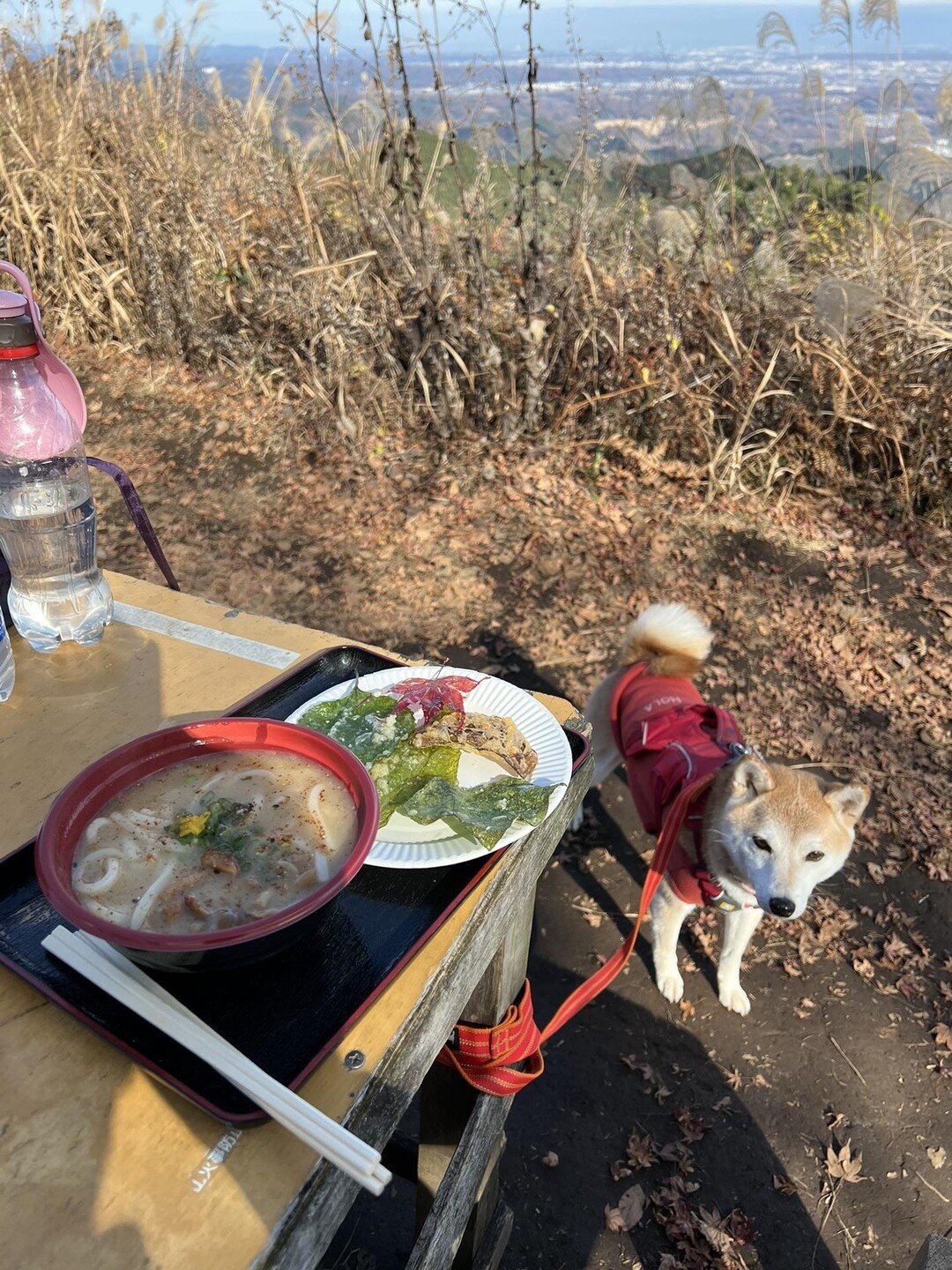 2022年30座目 まめ登山 景信山 / つんさんの高尾山・陣馬山・景信山の活動データ | YAMAP / ヤマップ