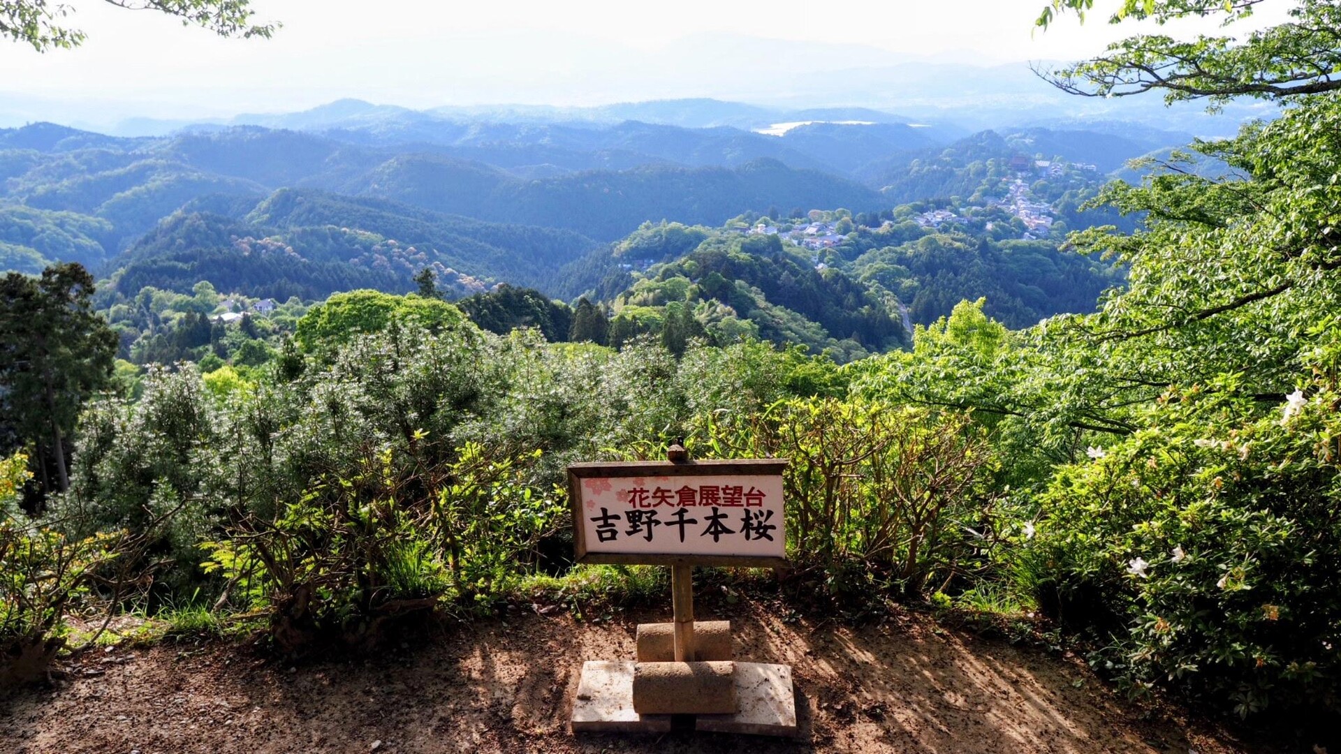 青根ヶ峰・高城山 / konkonさんの吉野山・青根ヶ峰・百貝岳の活動日記 | YAMAP / ヤマップ