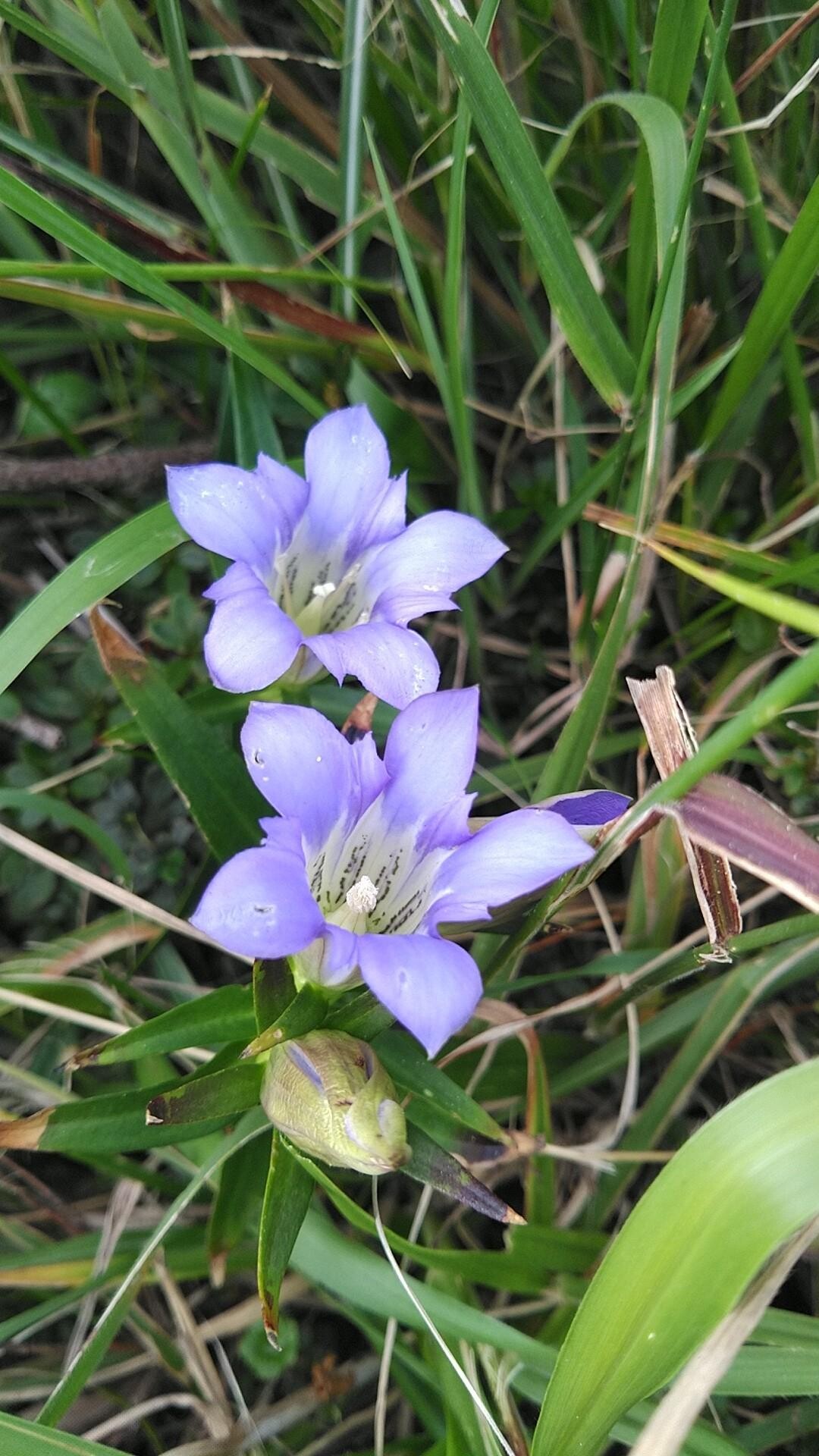 2023.09.17(日) 23:05 / くじらぶるさんのモーメント | YAMAP / ヤマップ